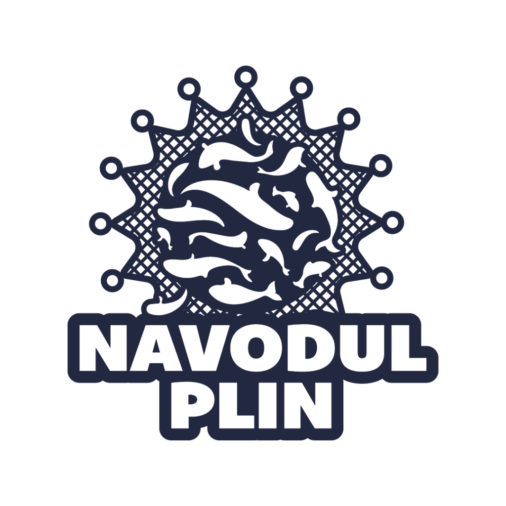 NĂVODUL PLIN – engines
